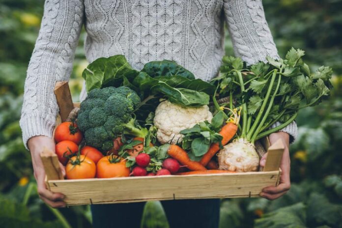 What's on display at Organic & Natural Products Expo Africa ...